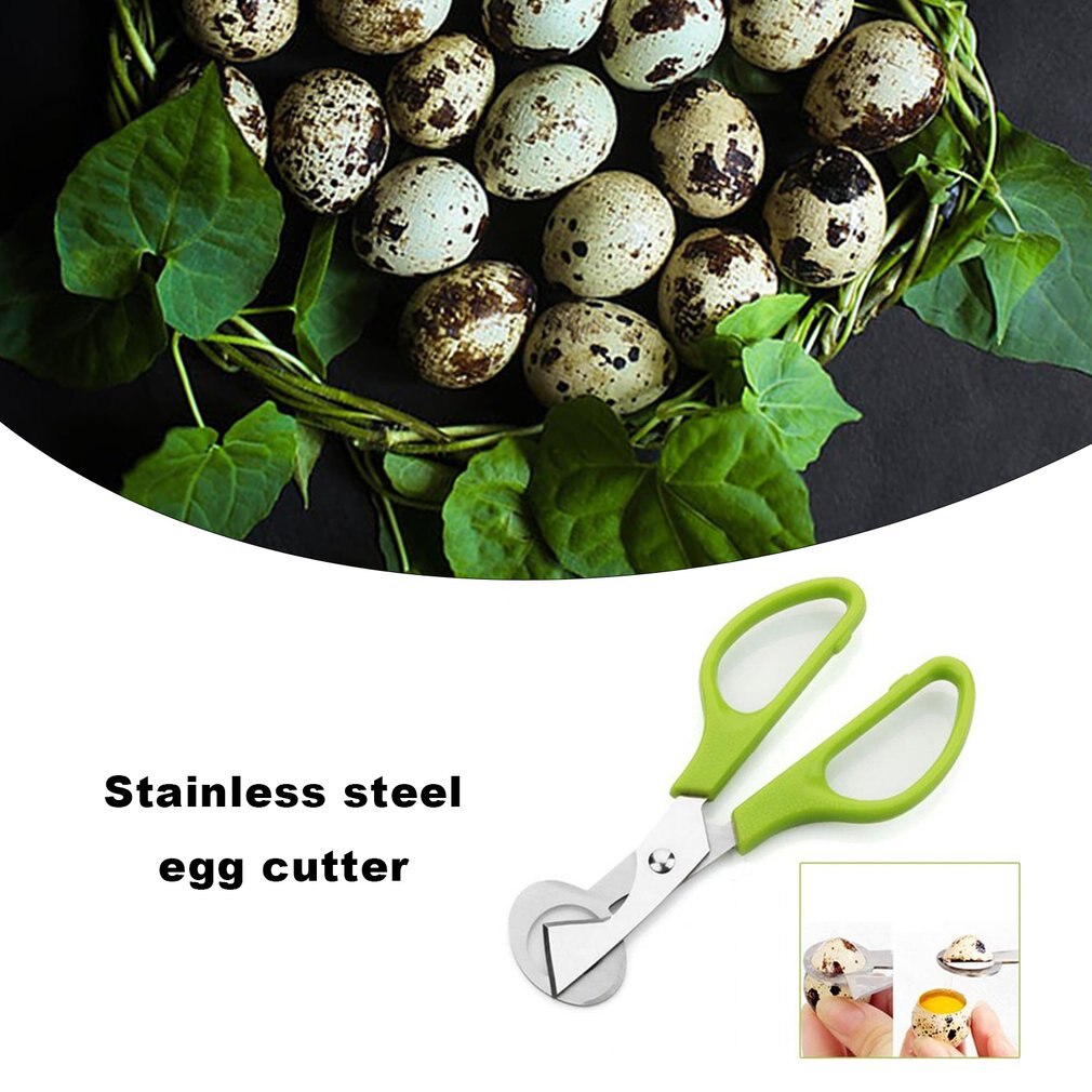 Quail Egg Shells Scissors Egg Slicers Cutter Opene... – Vicedeal