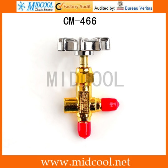 Brass Single Gauge Valve CM-466 – Vicedeal