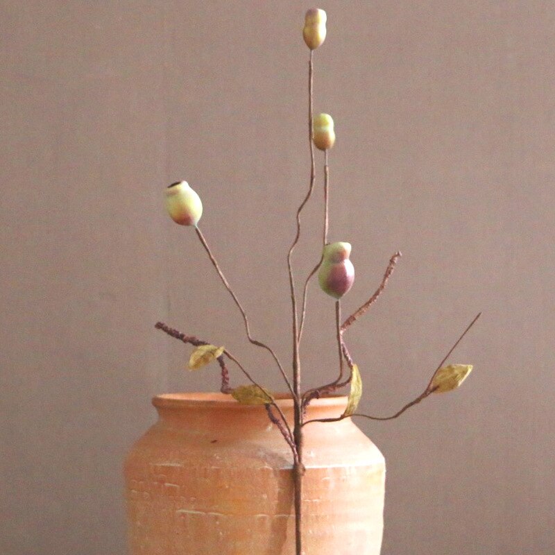 Model Eucalyptus Fruit Poppy Fruit Zombie Fruit Br... – Grandado