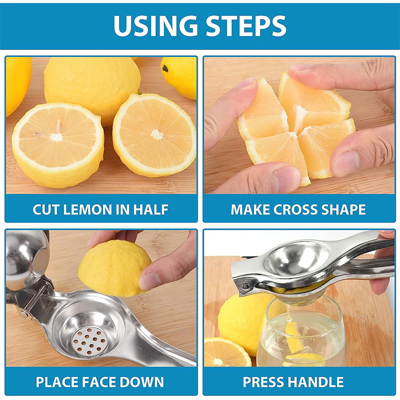 Lemon Squeezer Stainless Steel Citrus Press Large ... – Grandado
