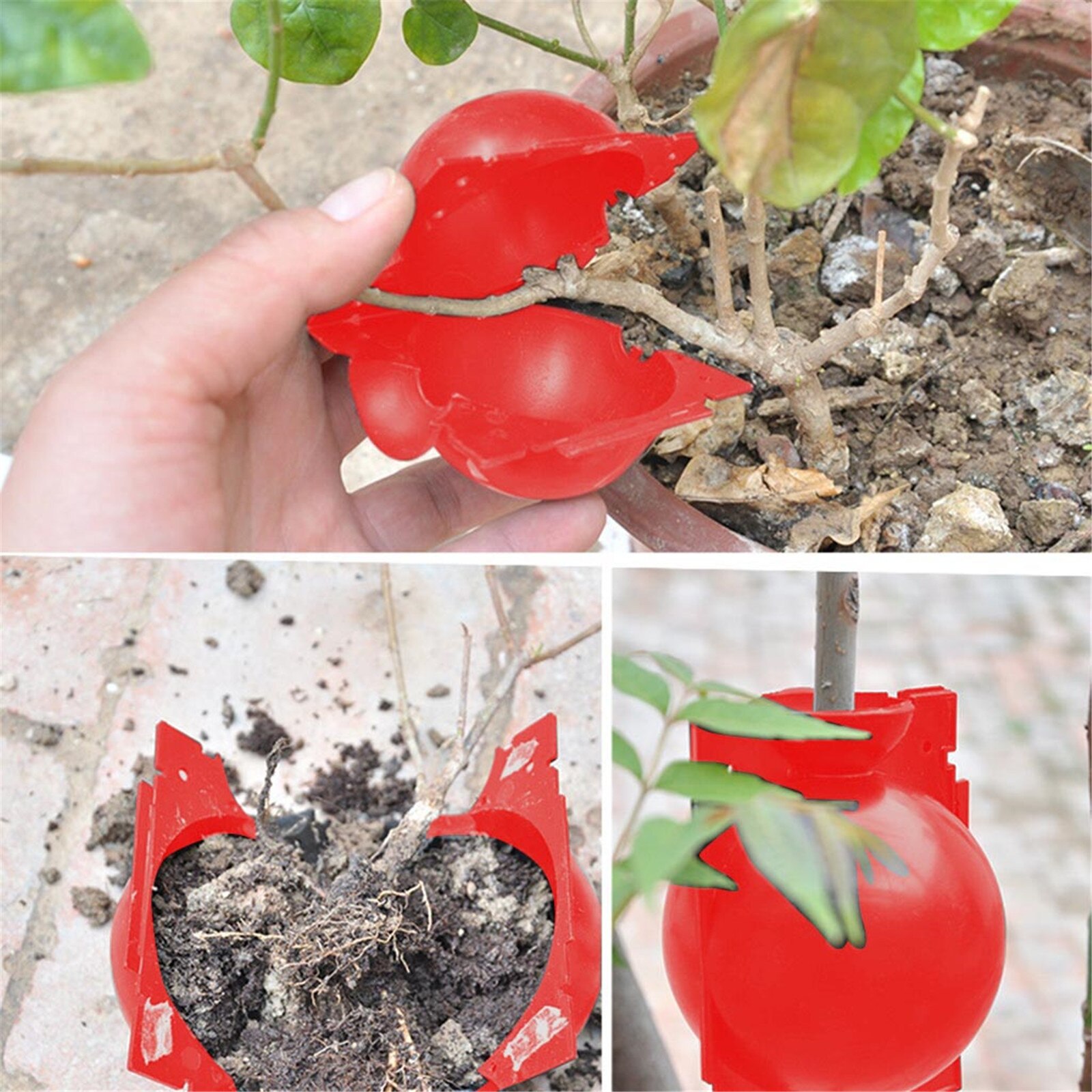 25# Reusable Plant Rooting Device High Pressure Pr... – Vicedeal