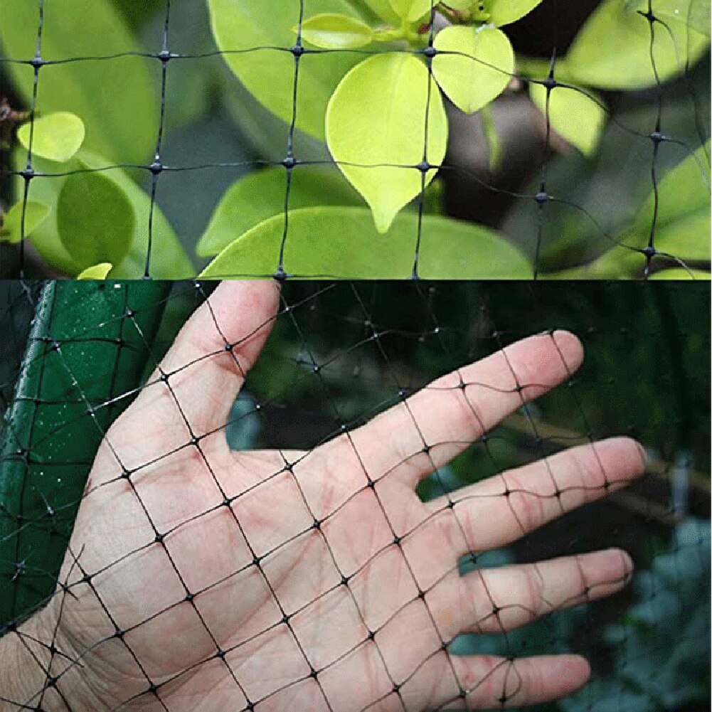 6M/10M Tuin Bescherming Net, vogel Insect Groente ... – Vicedeal