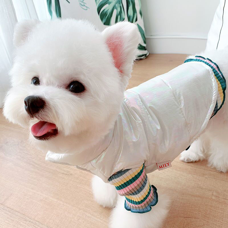Glossy Dog Jacket Winter Super Lightweight White P... – Grandado