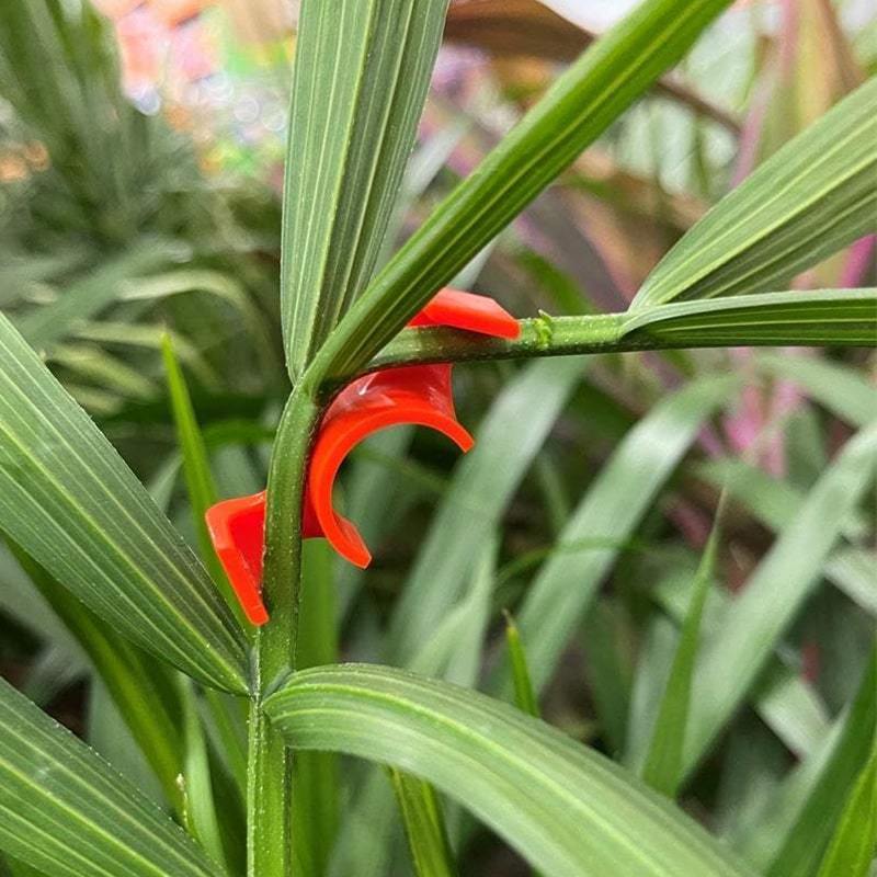 90 Degree Plant Bender for Low Stress Training and... – Grandado