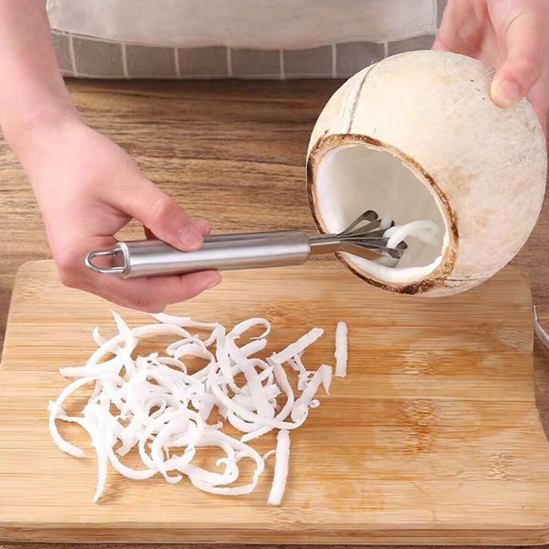 Fish Scale Planer Stainless Steel Coconut Planer S... – Grandado