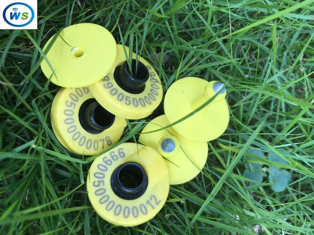 20pairs best 134.2KHz LF RFID tags Animal ear tag ... – Vicedeal