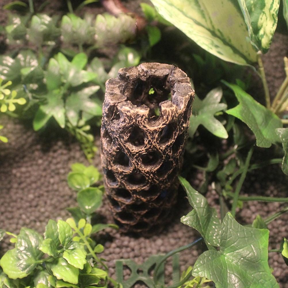 Insect House Reptile House Reptile Cave Reptile Ba... – Grandado