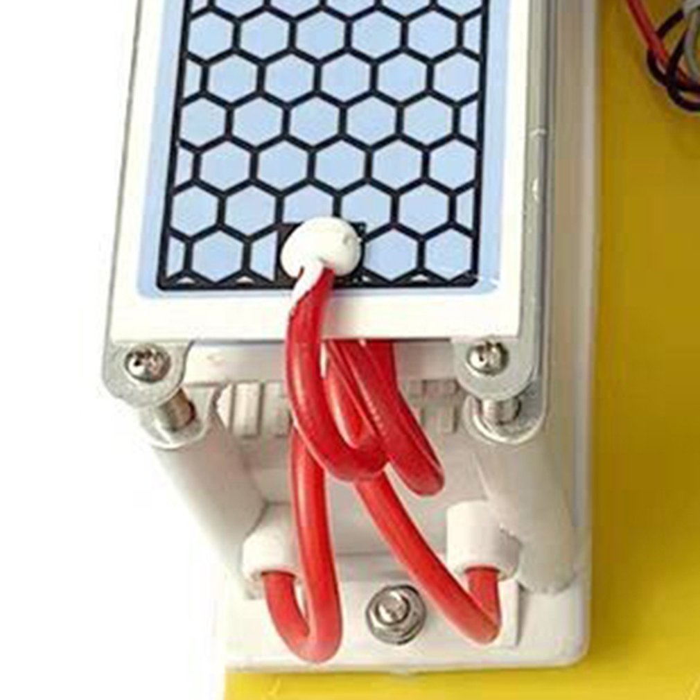 10g/h Ozone Generator Double Ceramic Plate Integra... – Grandado