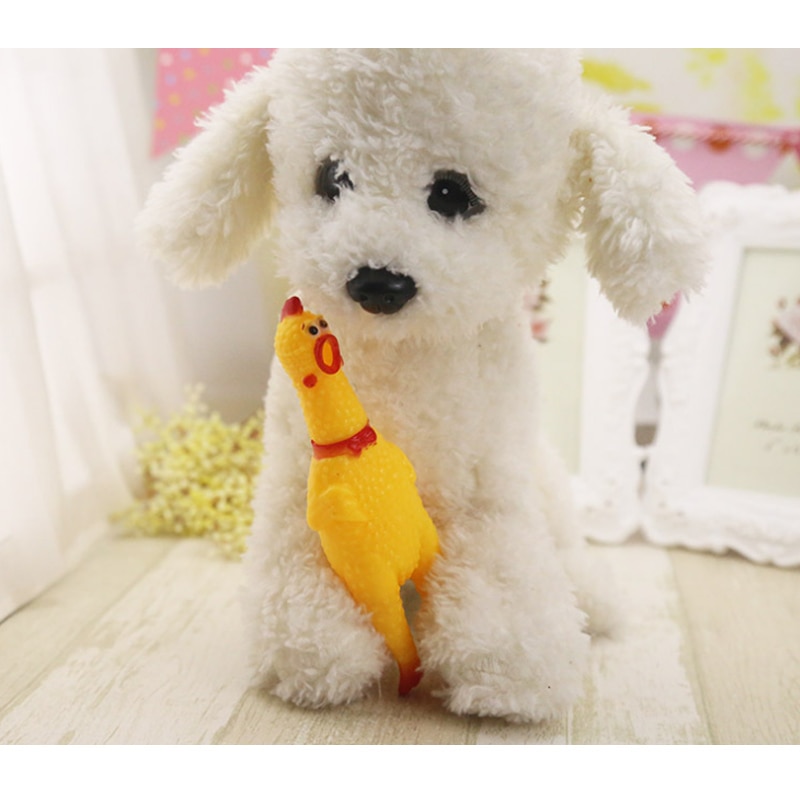 Trumpet Chicken Screaming Chicken/ Vent Chicken Pe... – Grandado