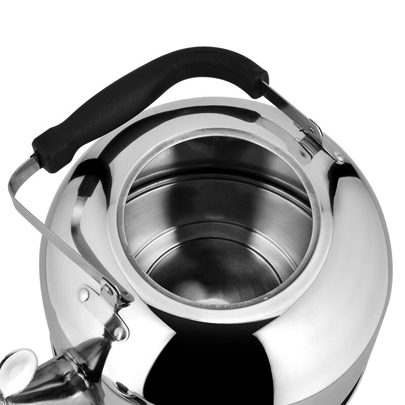 Long Spout Mouth Electric Kettle 4L Stainless Stee... – Vicedeal