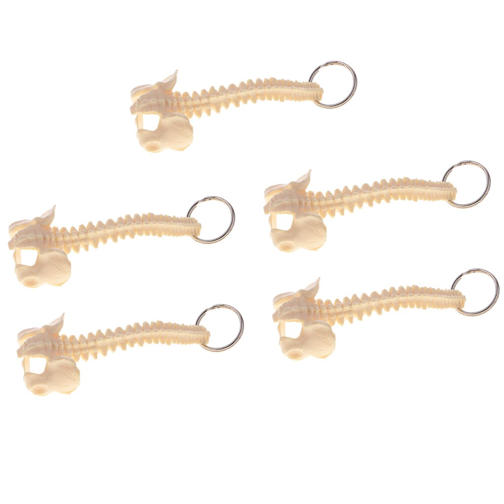Mini Handcrafted Human Spine Skeleton Model Keycha... – Grandado