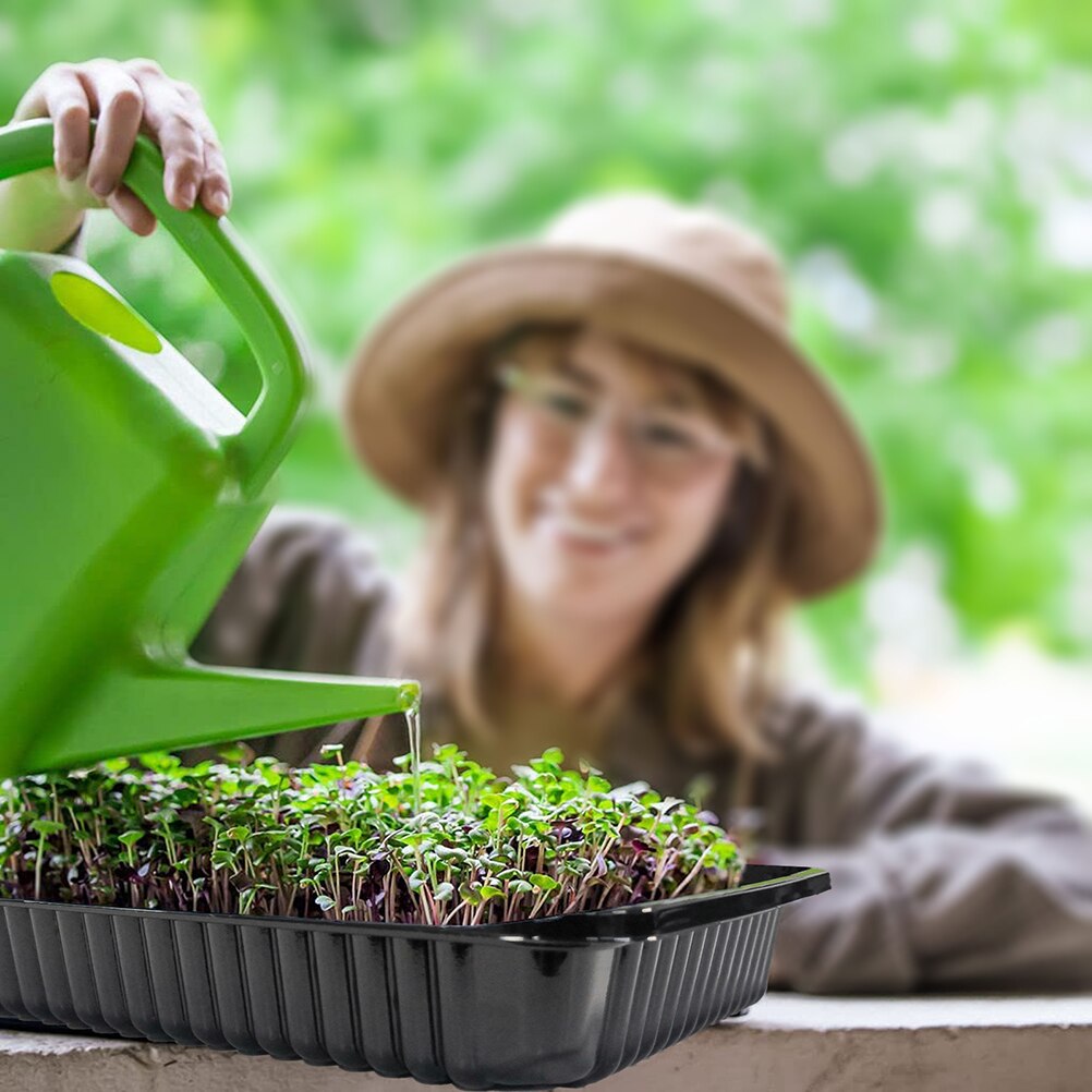 Plant Zaailingen Lade Tuin Groeiende Plaat Planten... – Vicedeal