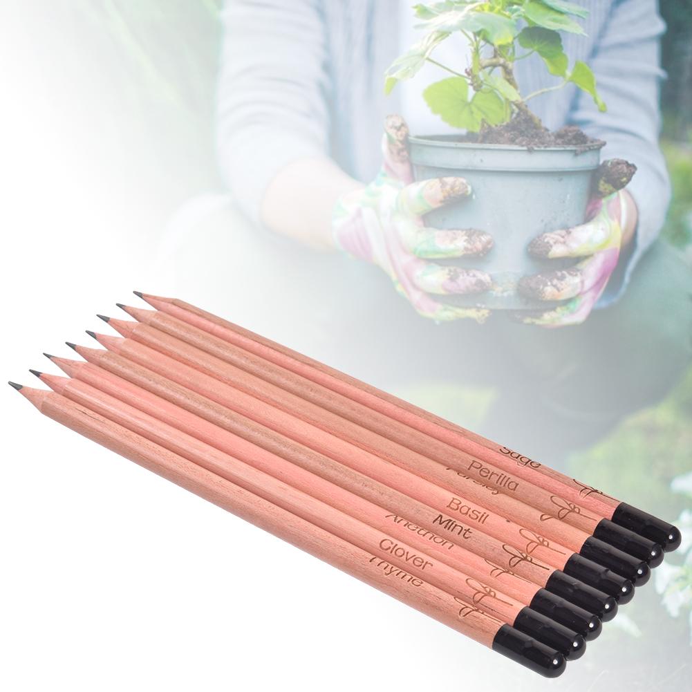 8PCS Idea Germination Pencil Set To Grow Pencil Mi... – Grandado