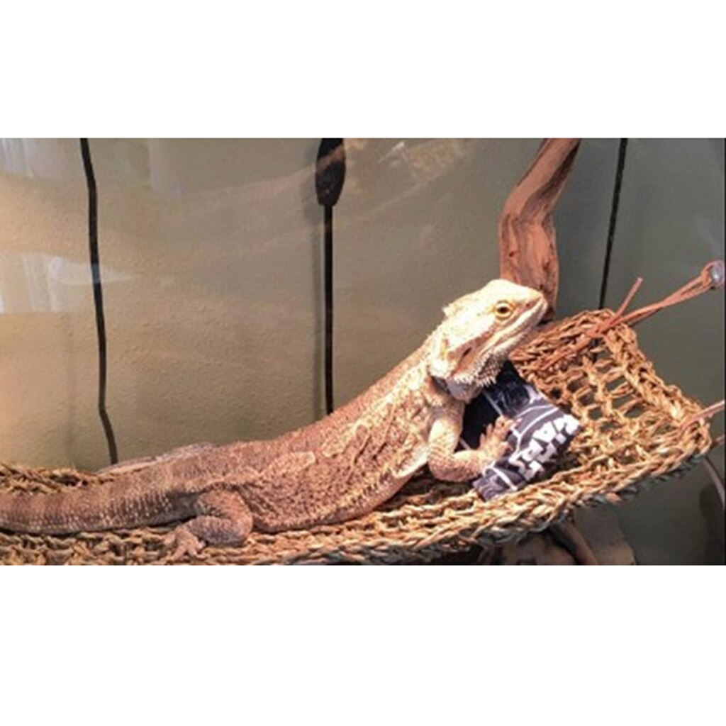 Reptile Hammock Lizard Lounger Natural Seagrass Co... – Grandado