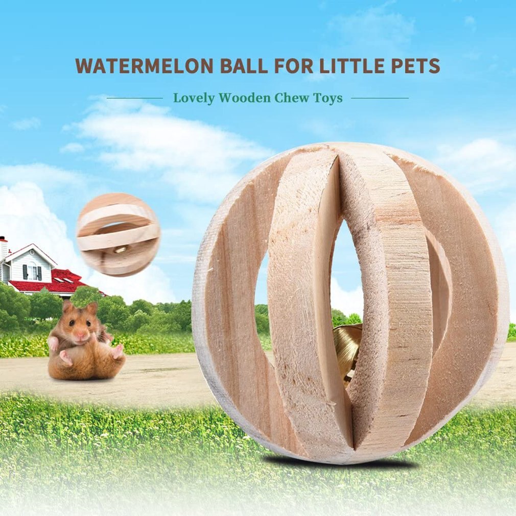 5pcs Amusing Pet Accessories Wooden Care Safe Smal... – Grandado