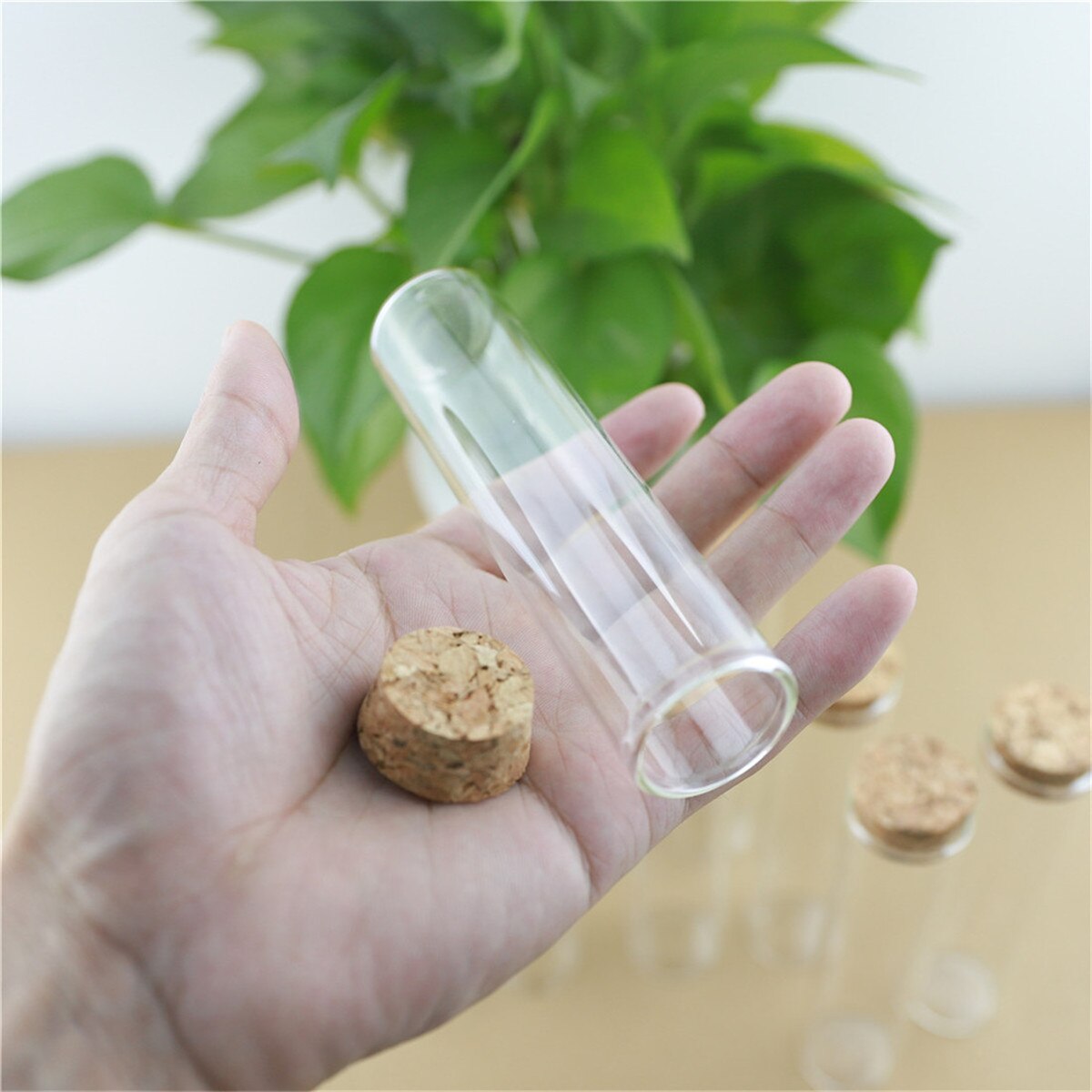 6 Pieces 30*120mm 60ml Cork Glass Bottle Stopper G... – Grandado
