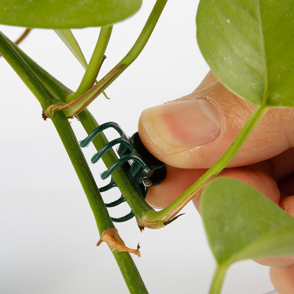 100 pièces jardin plante Clips en plastique Suppor... – Grandado