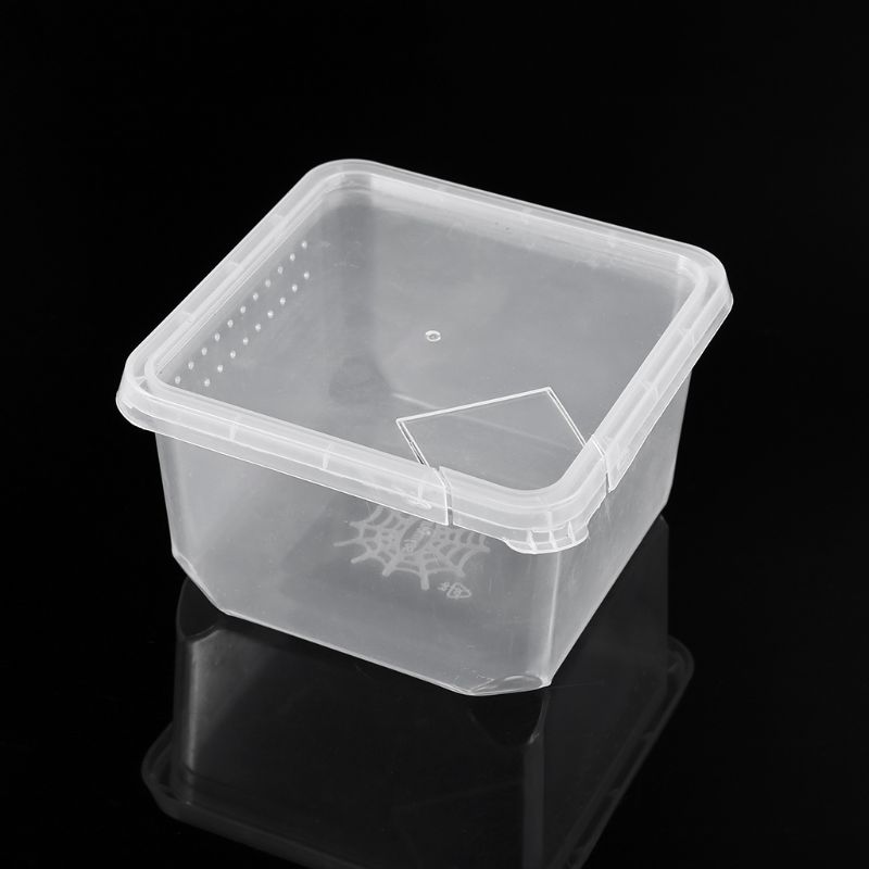 Reptiler terrarium matare avel låda sköldpadda spi... – Vicedeal