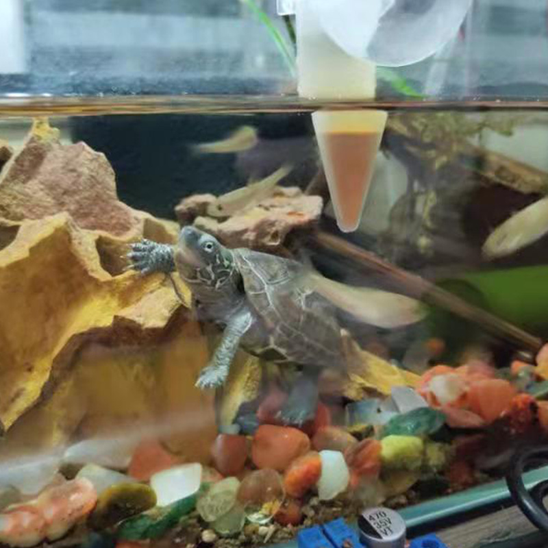 Automatic Fish Feeder Tapered Aquarium Fish Tank R... – Vicedeal