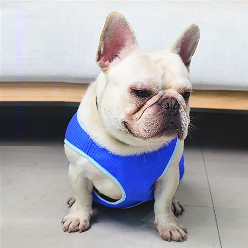 Dog Cooling Vest Lightweight Dog Jacket Pet Coolin... – Grandado