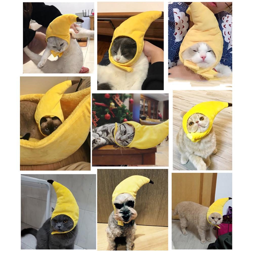 Pet Hoed Hoofddeksel Banaan Vorm Pet Caps Kleine H... – Grandado