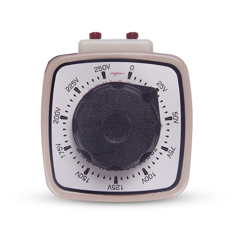 TDGC2-0.2KVA 200W Eenfase Voltage Regulator Variac... – Vicedeal