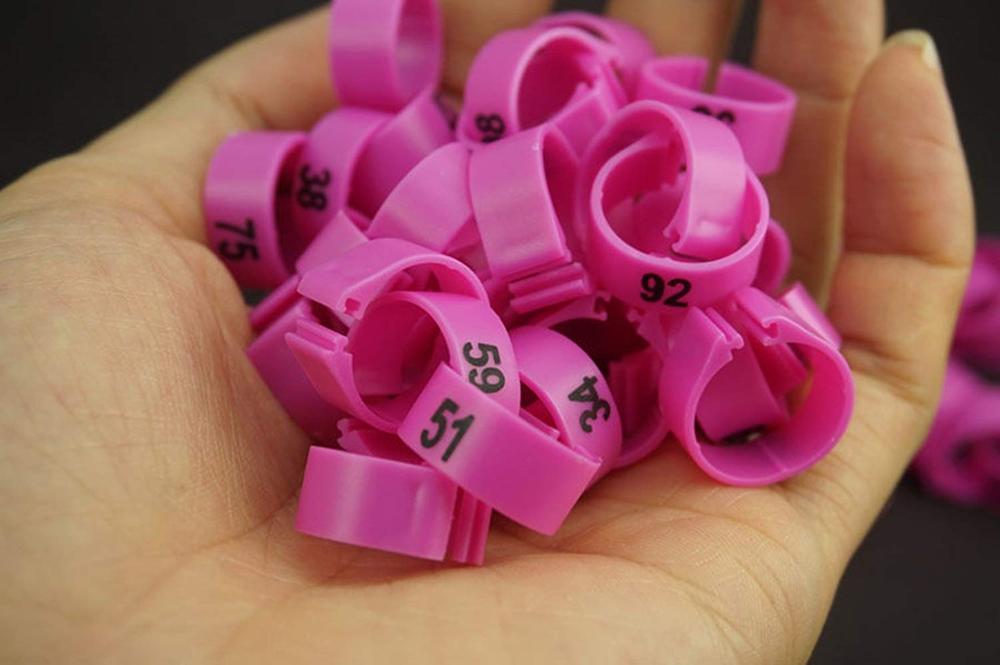 (Pack of 100 Pcs) ，(14mm) Bird Leg Bands Pigeon Ch... – Vicedeal