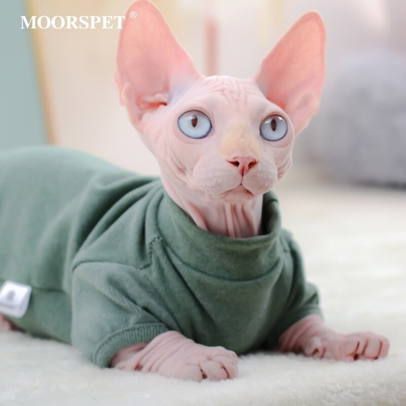 Sphinx Clothing Devon Hairless Cat Clothes Autumn ... – Grandado