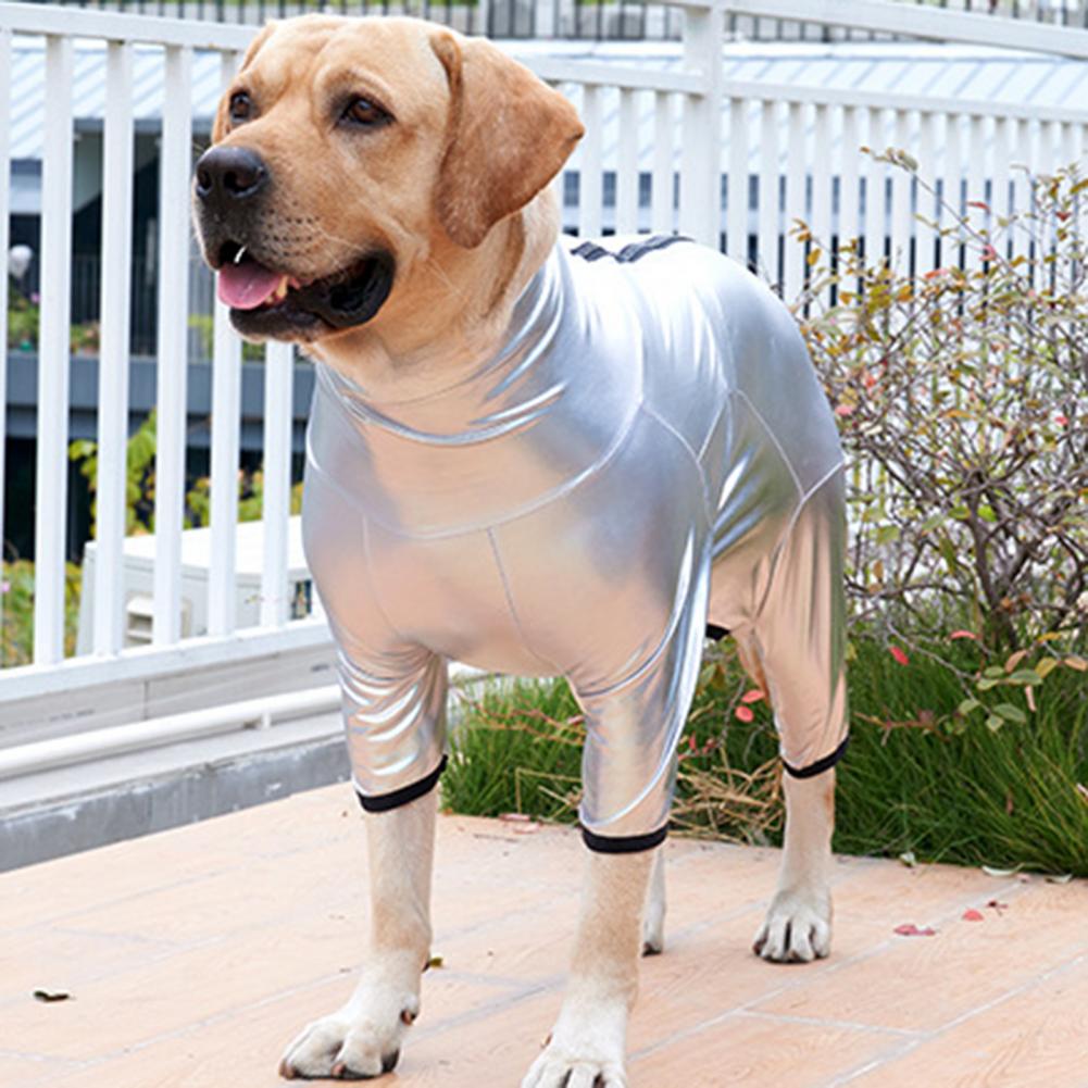 Great Dog Raincoat Allergy Free Lightweight Outdoo... – Grandado