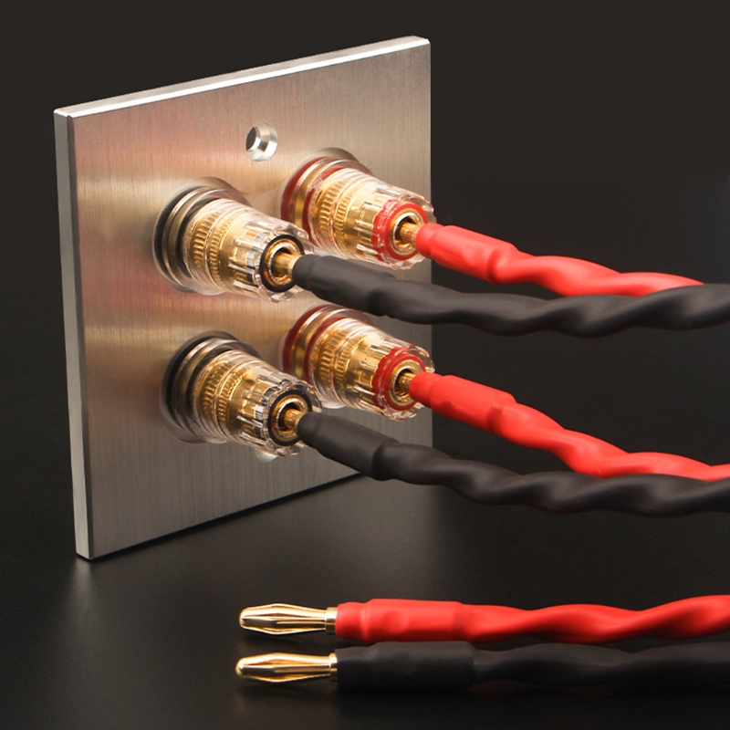 Quad Speaker Home Theater Wall Plate Premium Gold ... – Grandado