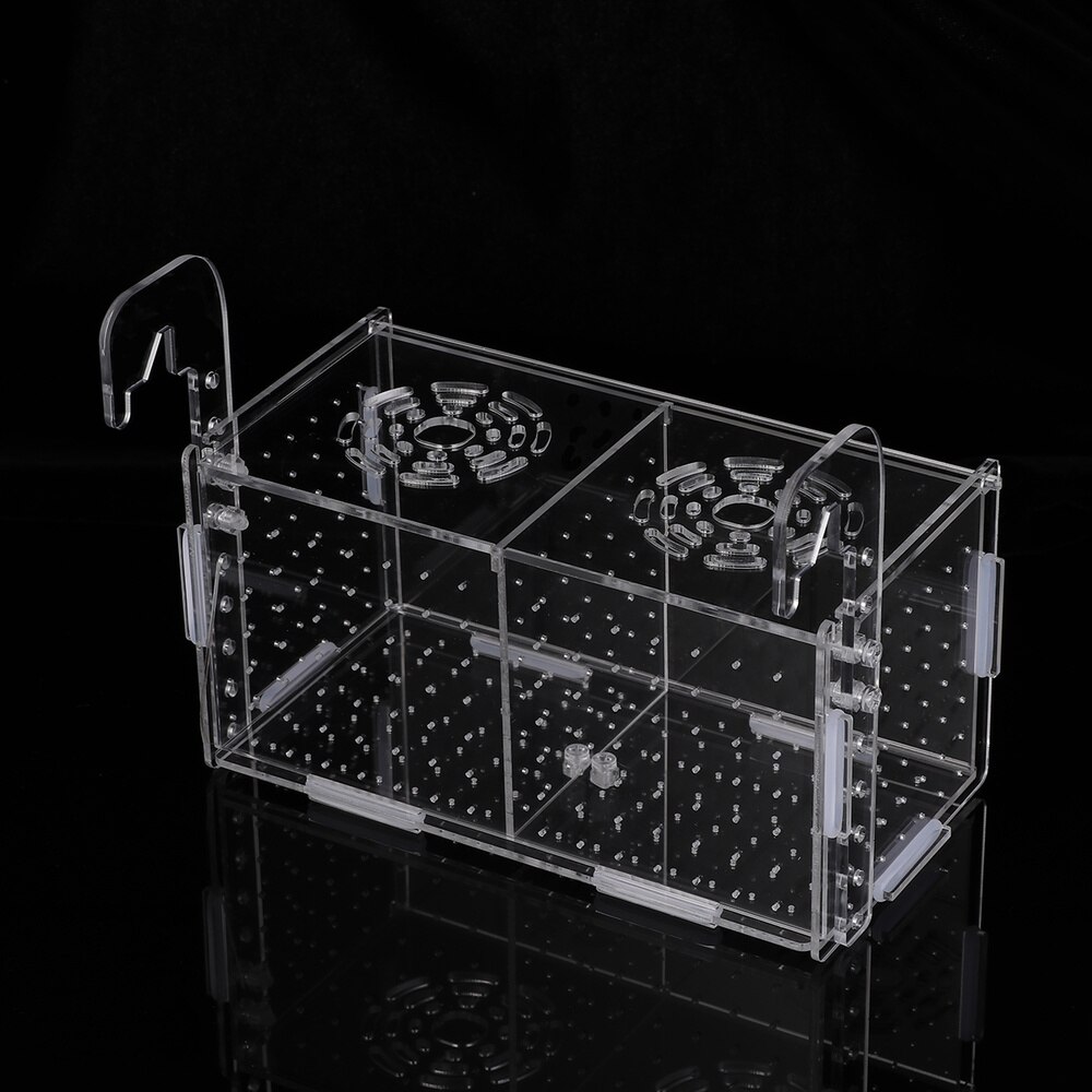 Transparent Fish Tank Breeding Isolation Box Aquar... – Vicedeal