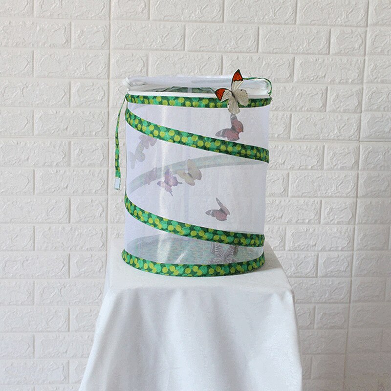 Mantis Stick Small Insect Butterfly Plant Cage Bre... – Grandado