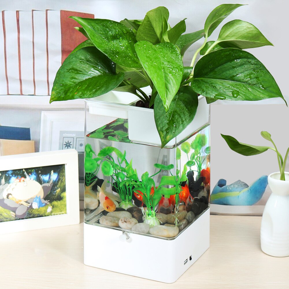 Mini acrylic ED portable fish tank aquatic pet sup... – Grandado