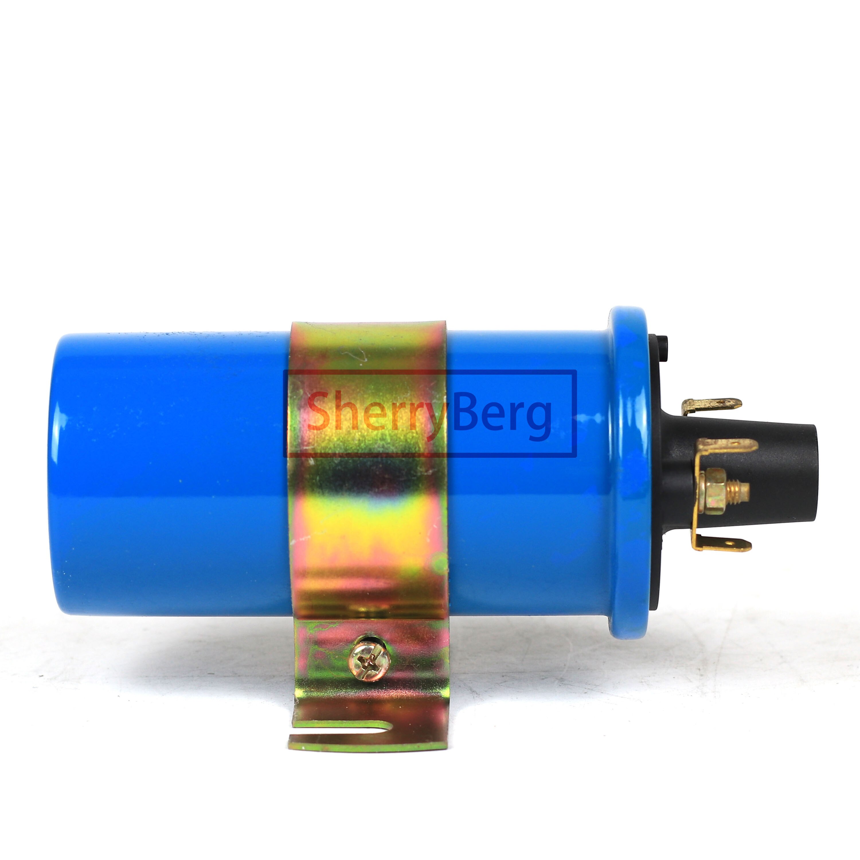 SherryBerg BLUE Color IGNITION COIL 12VOLT FITS FO... – Grandado