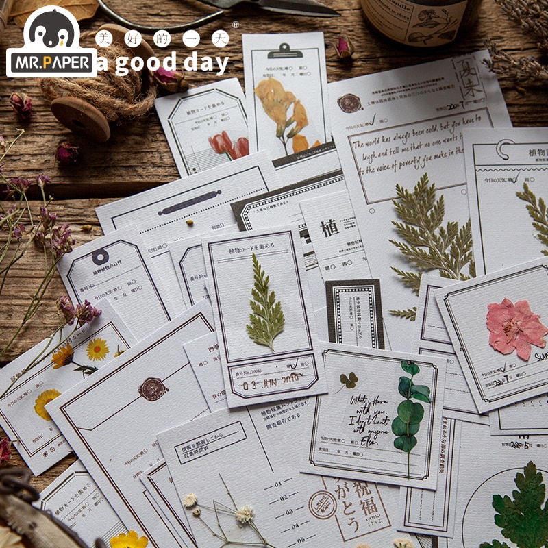 Mr.paper 8 Designs 24pcs Ancient Plant Letters Scr... – Vicedeal