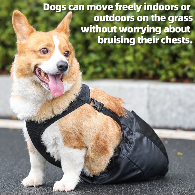 Indoor Paralyzed Dogs Cats Recovery Carrier Bag He... – Grandado