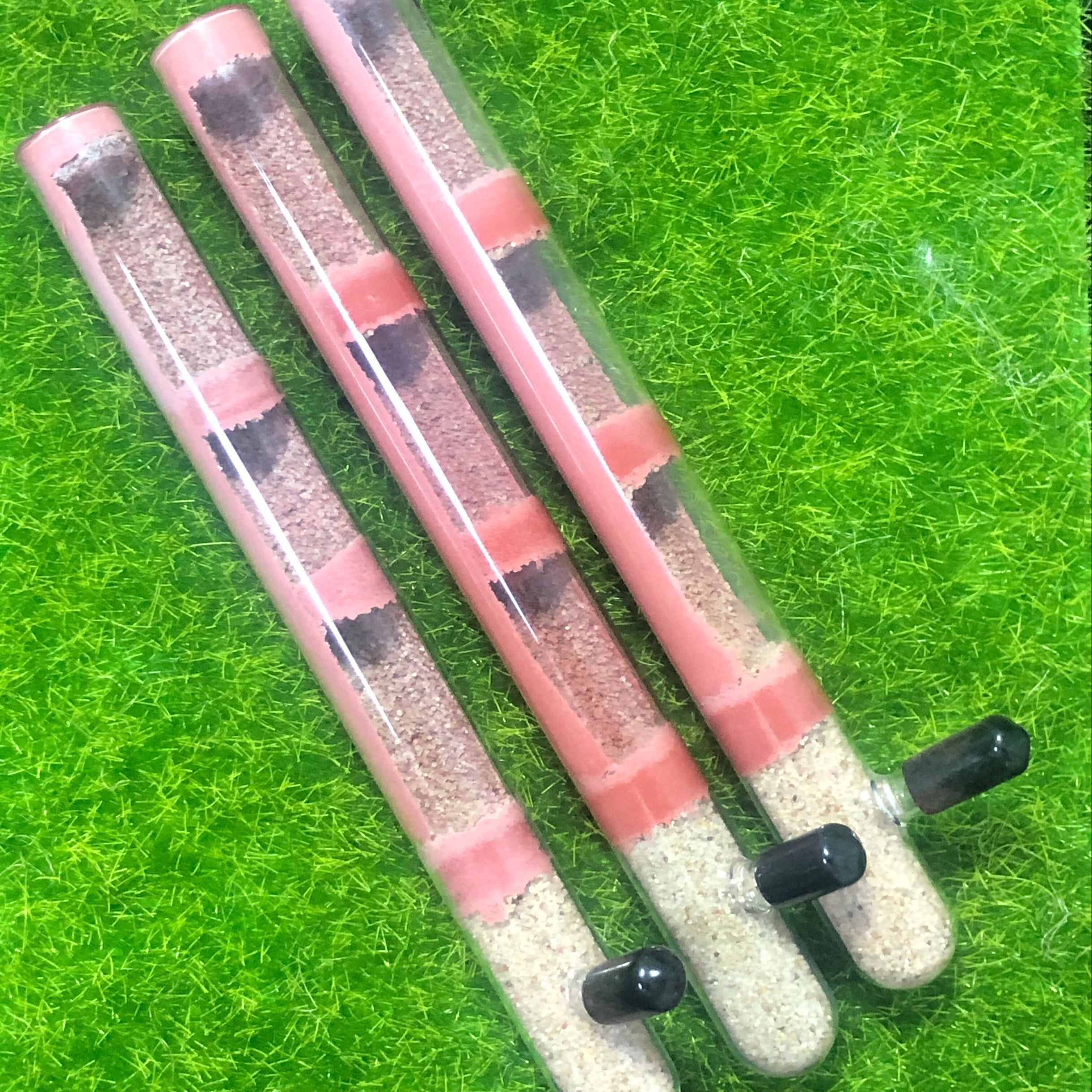 Easy moisturing sand DIY Ecological Ant Farm Bambo... – Grandado