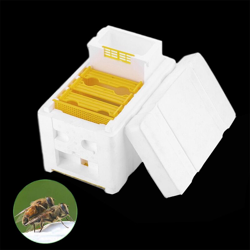 2pcs beehive queen rearing box Hive queen Pollinat... – Grandado