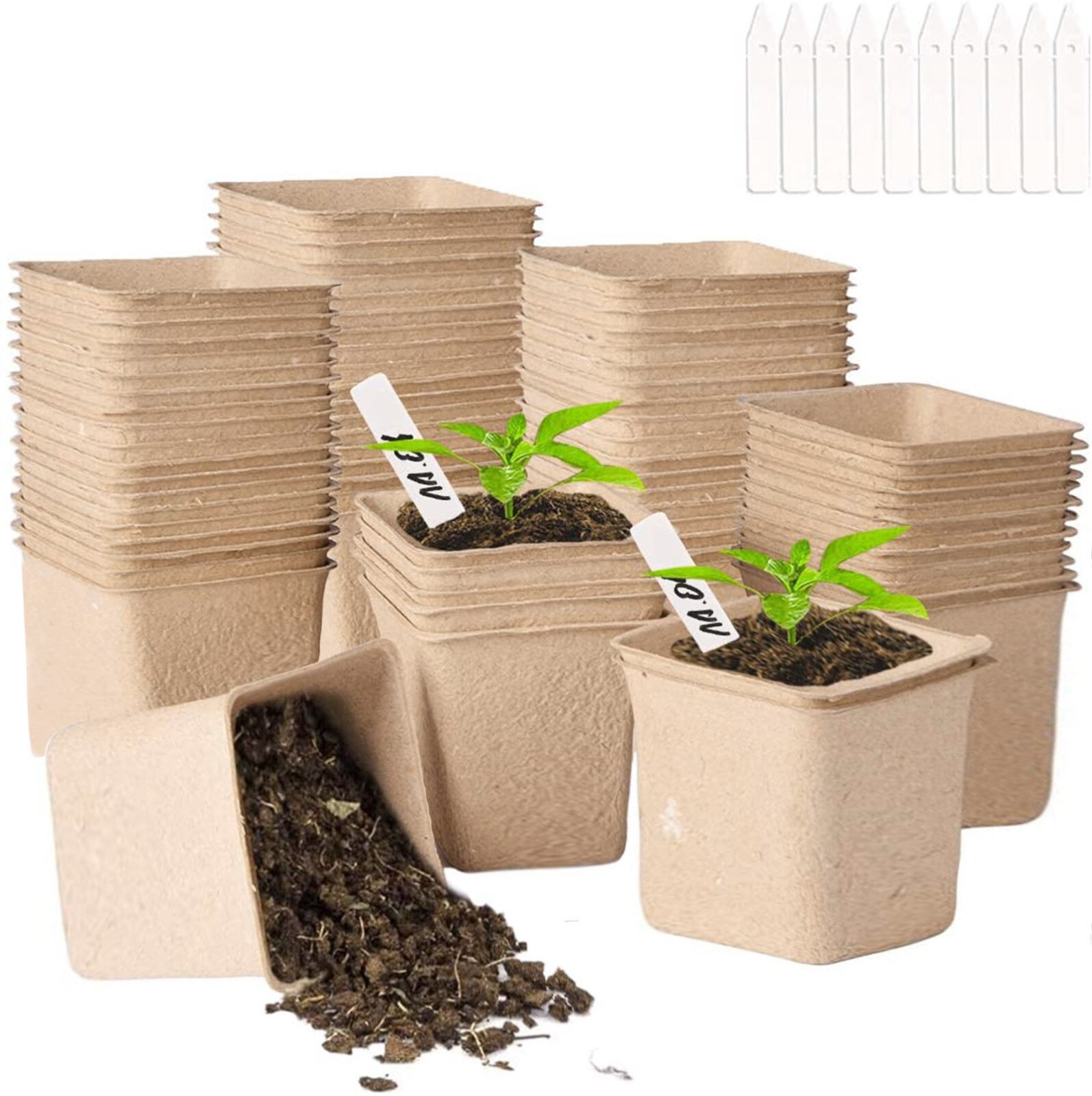 40# Garden Round Peat Pots 6 Cm Degradable Pulp Pl... – Grandado