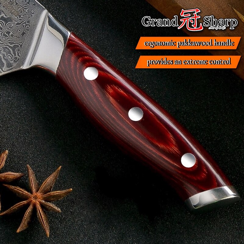 Damascus Kitchen Knife vg10 Japanese Damascus Chef... – Vicedeal