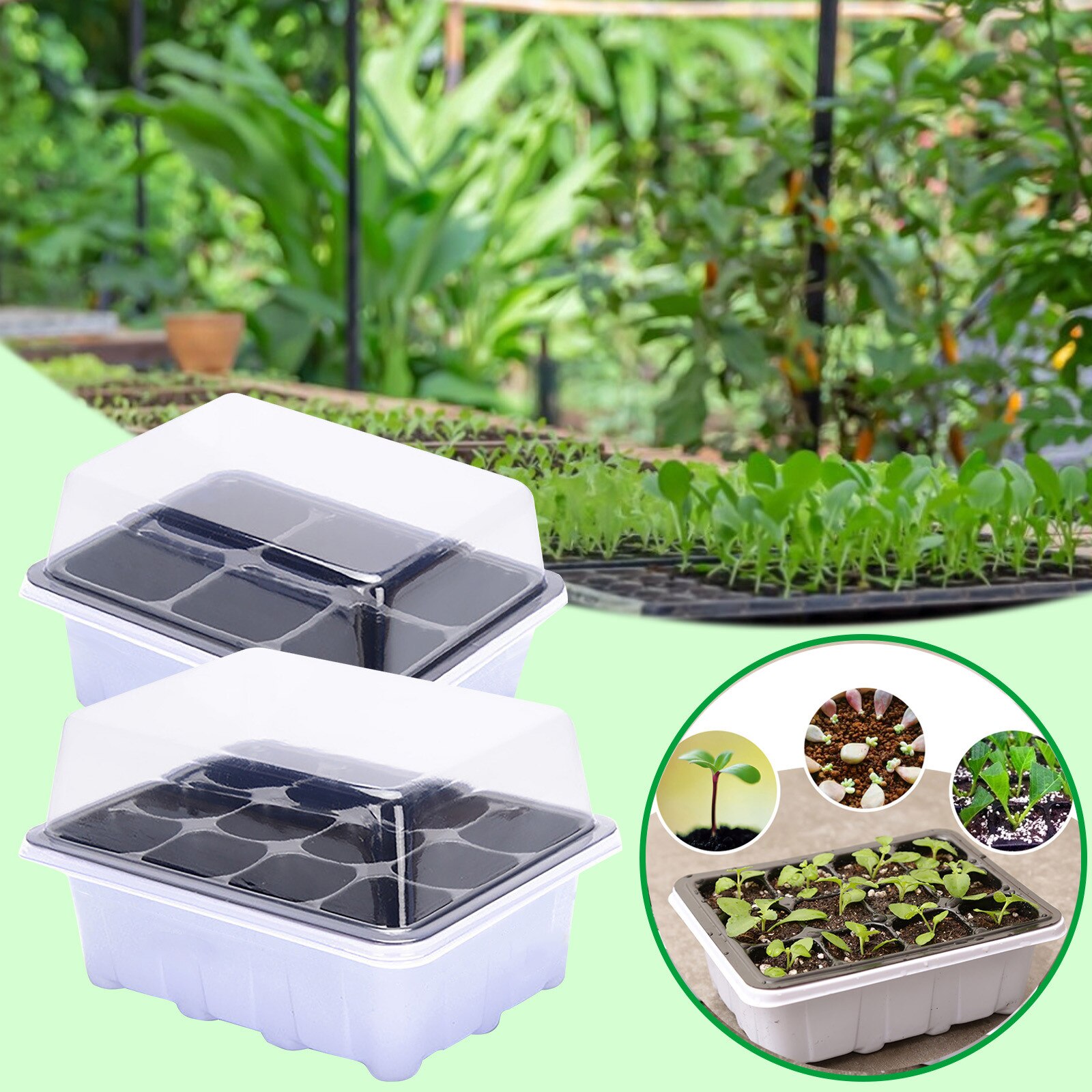 Greenhouse Propagation Box Set Hoem Garden Propaga... – Grandado
