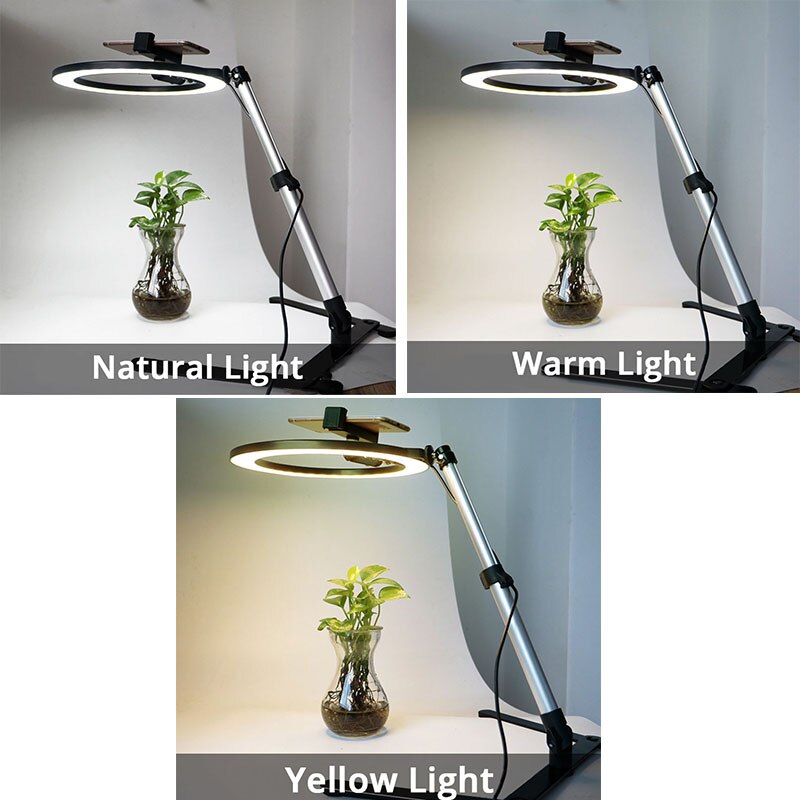 Phone Studio Ring Light With Mobile Phone Bracket ... – Vicedeal