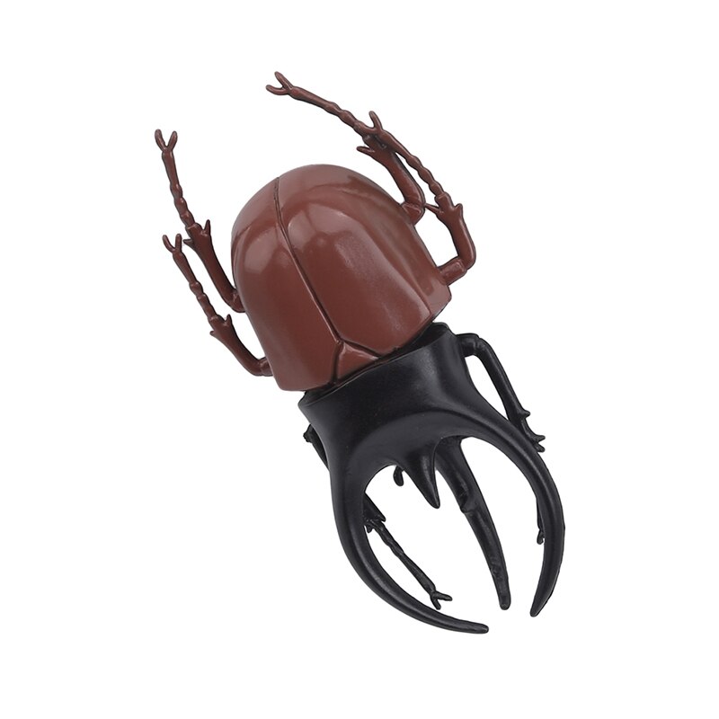4 Style 13cm Simulation Beetle Toys Special Lifeli... – Grandado