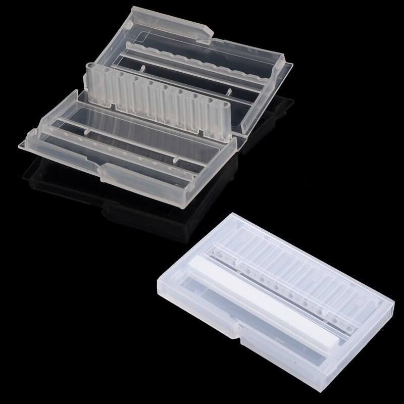10 Holes Nail Drill Bit Case Plastic Empty Storage... – Grandado