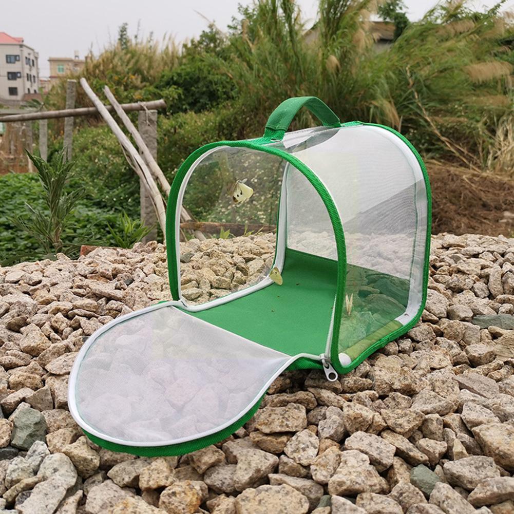 Breeding Insect Cage With Handle 360-degree Transp... – Vicedeal