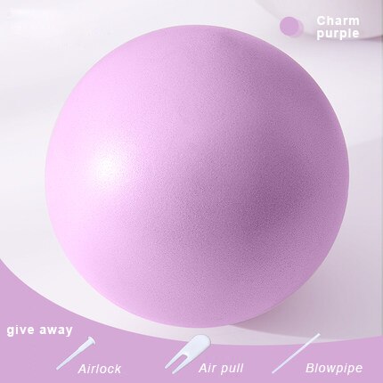 Pilates Ball Pregnant Women Postpartum Recovery Th... – Grandado