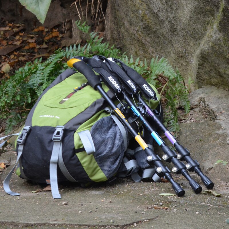 Teleskopisk spadserestok kodenor vandreture foldni... – Grandado