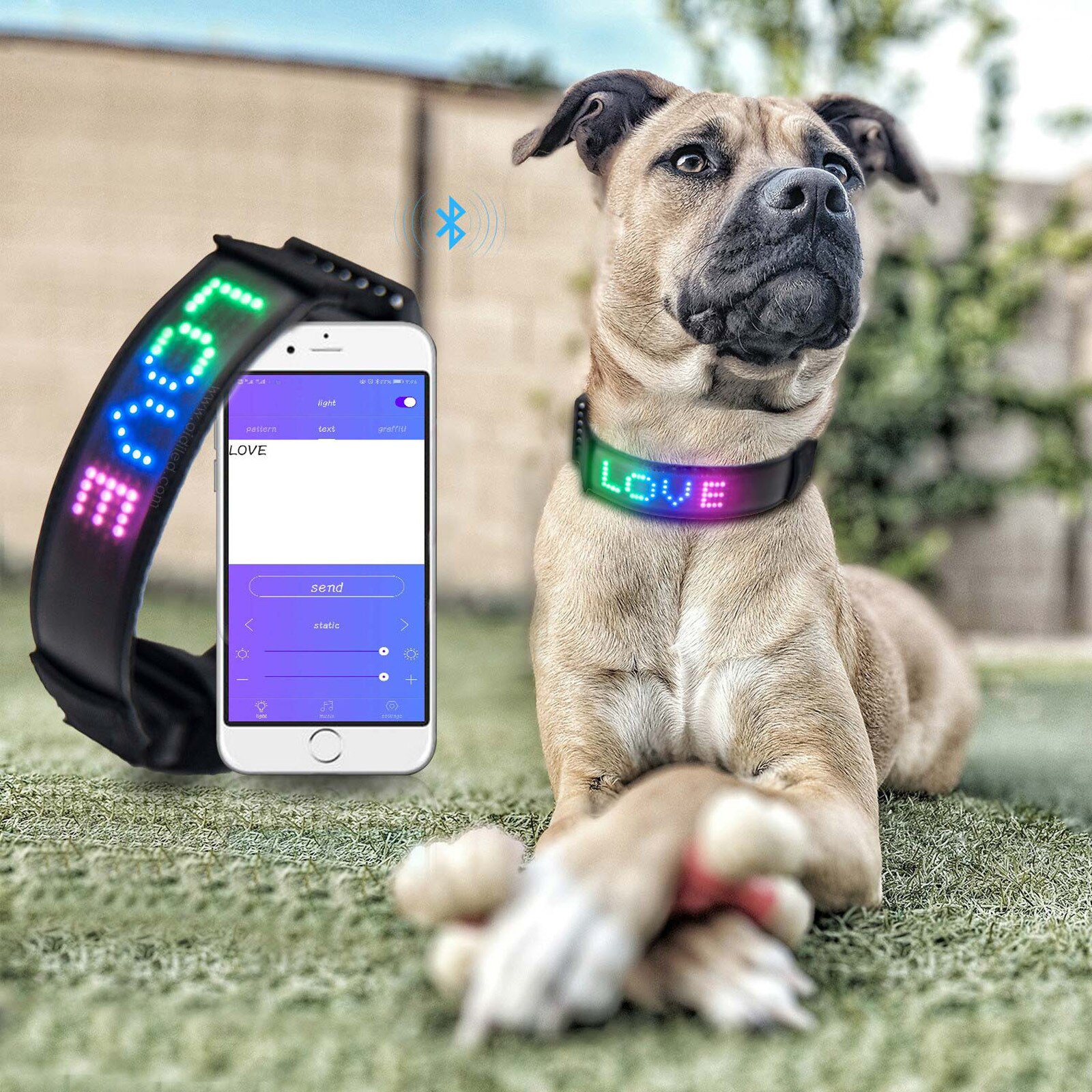 Led Display Pet Collar App Control Luminous Glowin... – Vicedeal