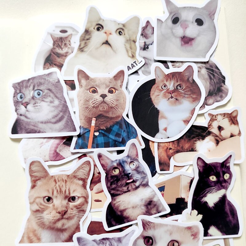 20PCS Funny Cat Face Stickers DIY Stationery – Vicedeal