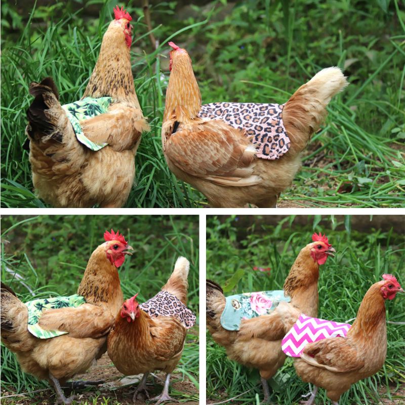 Adjustable Pet Clothes Hen Apron Poultry Hen Saddl... – Grandado